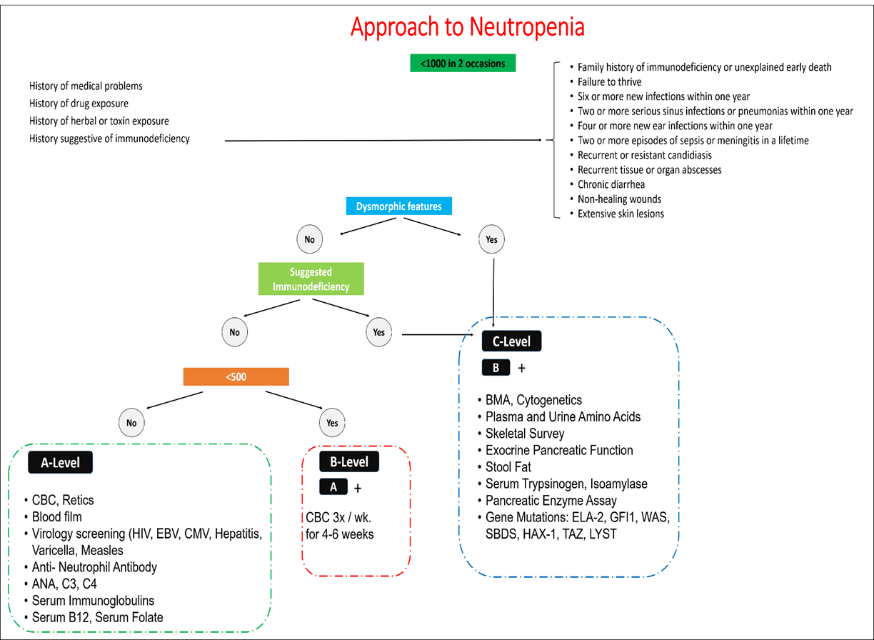 Neutropenia – Cancer Networks